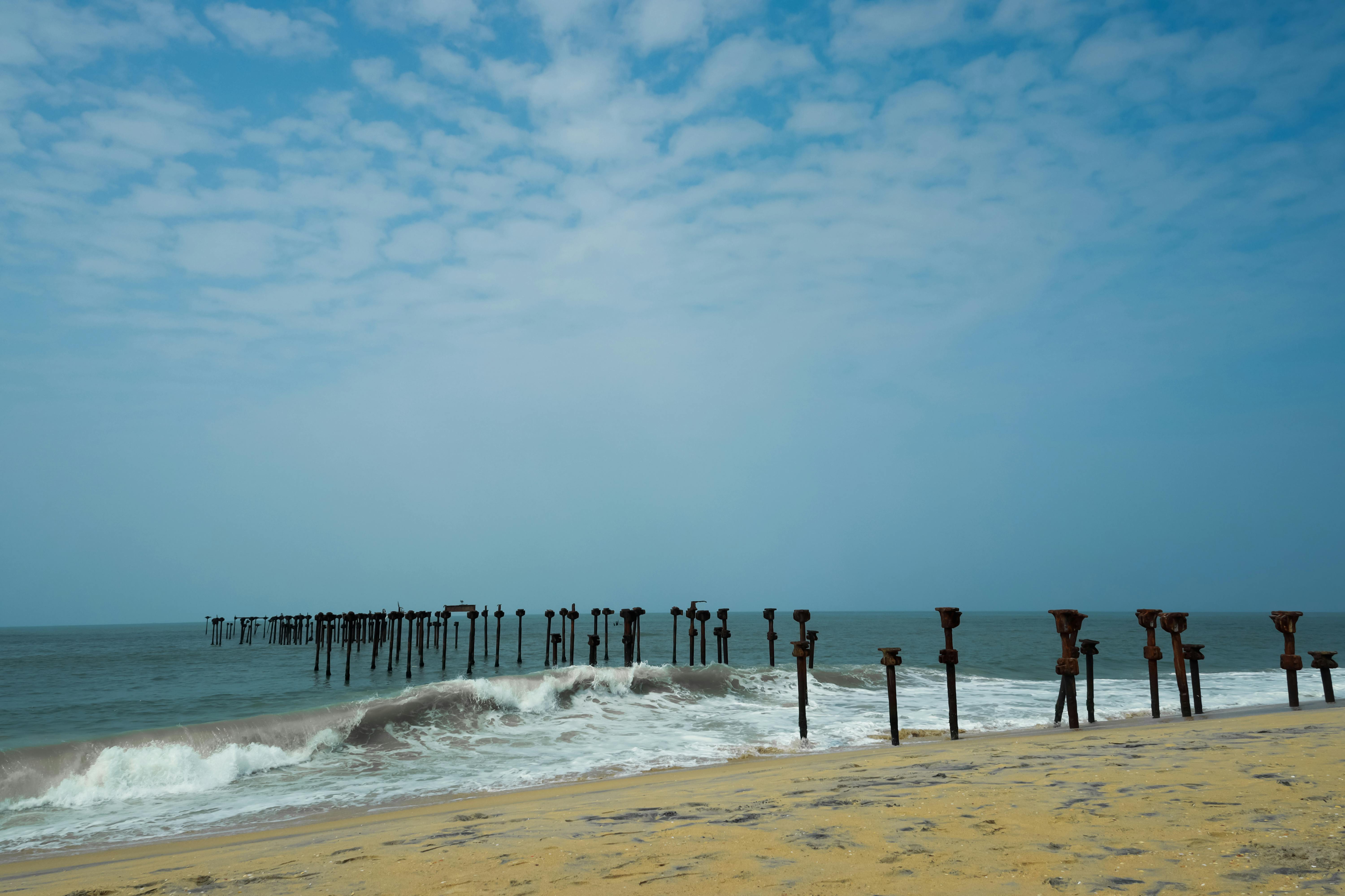 ECO Tours & Travels